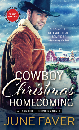 Cowboy Christmas Homecoming | June Faver | 9781492679332 | NetGalley